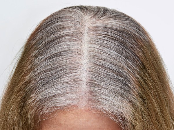 Graue Haare Rauswachsen Lassen Bei Dunklem Haar